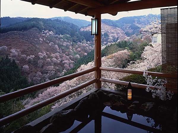 Japan Onsen Ryokan, Hotel, Accommodation with Private Onsen